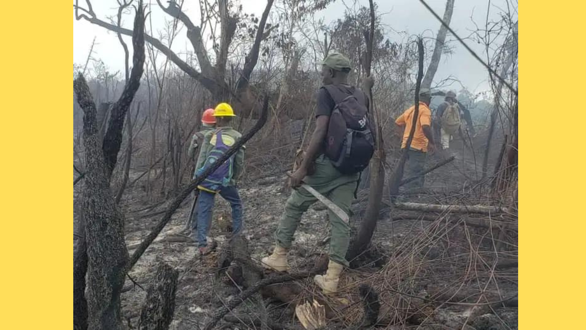 Haiti’s Pic Macaya on fire, menacing entire Caribbean region - Texas ...