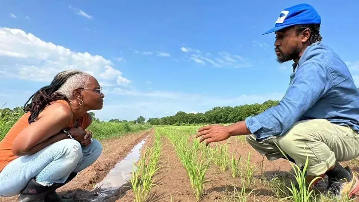 On a former cotton plantation in Louisiana, a Black farmers ...