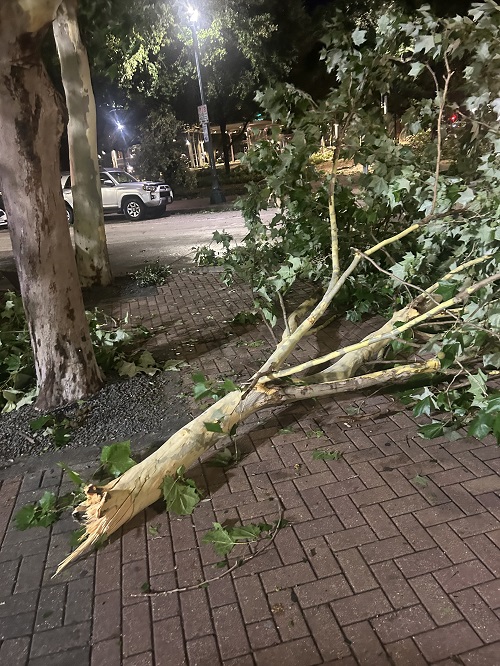 Downtown Houston Storm Damage - Texas Metro News