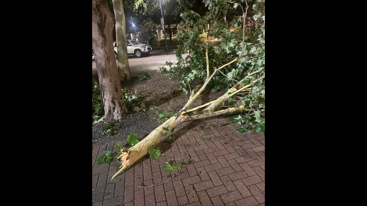 Downtown Houston Storm Damage - Texas Metro News