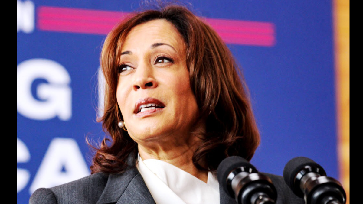 THE LAST WORD: Kamala Harris Definitely Earned It (DEI) - Texas Metro News